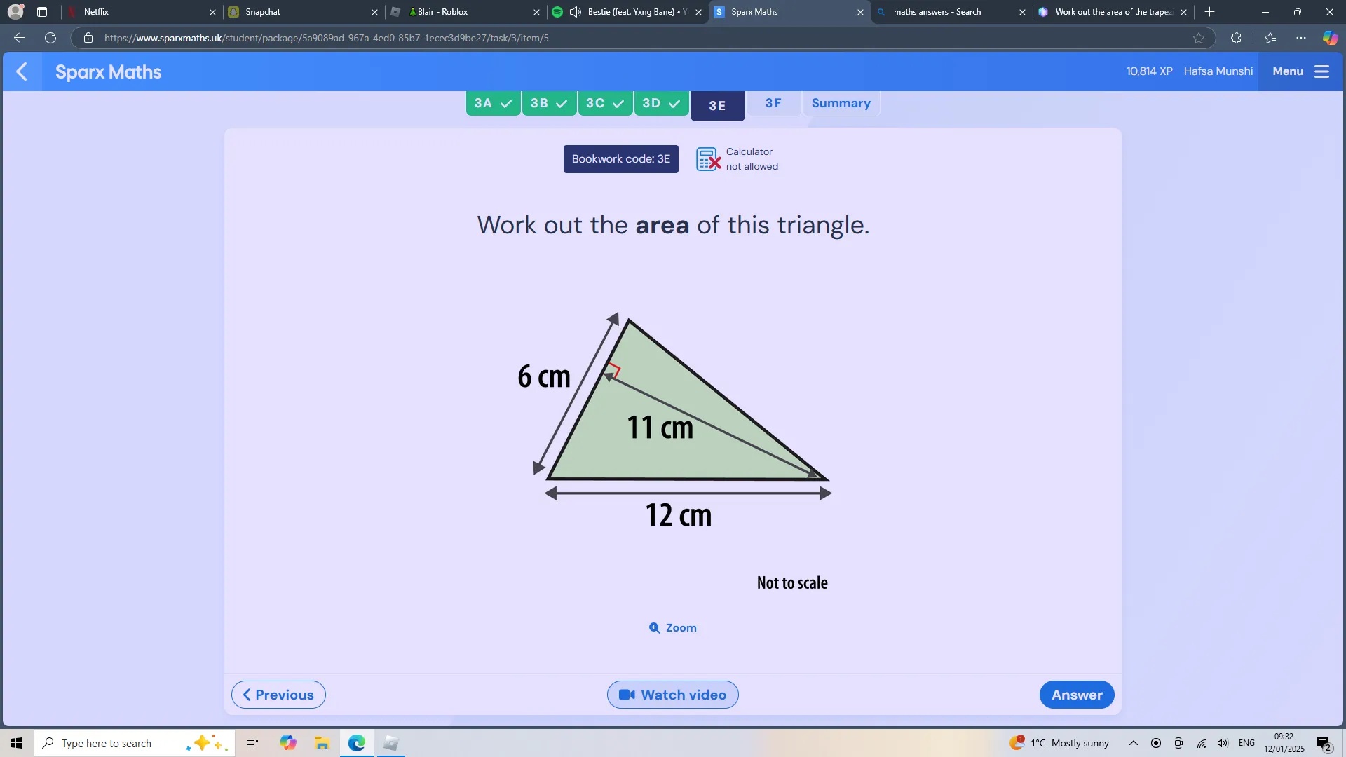 Work out the area of this triangle 6 cm 11 | StudyX