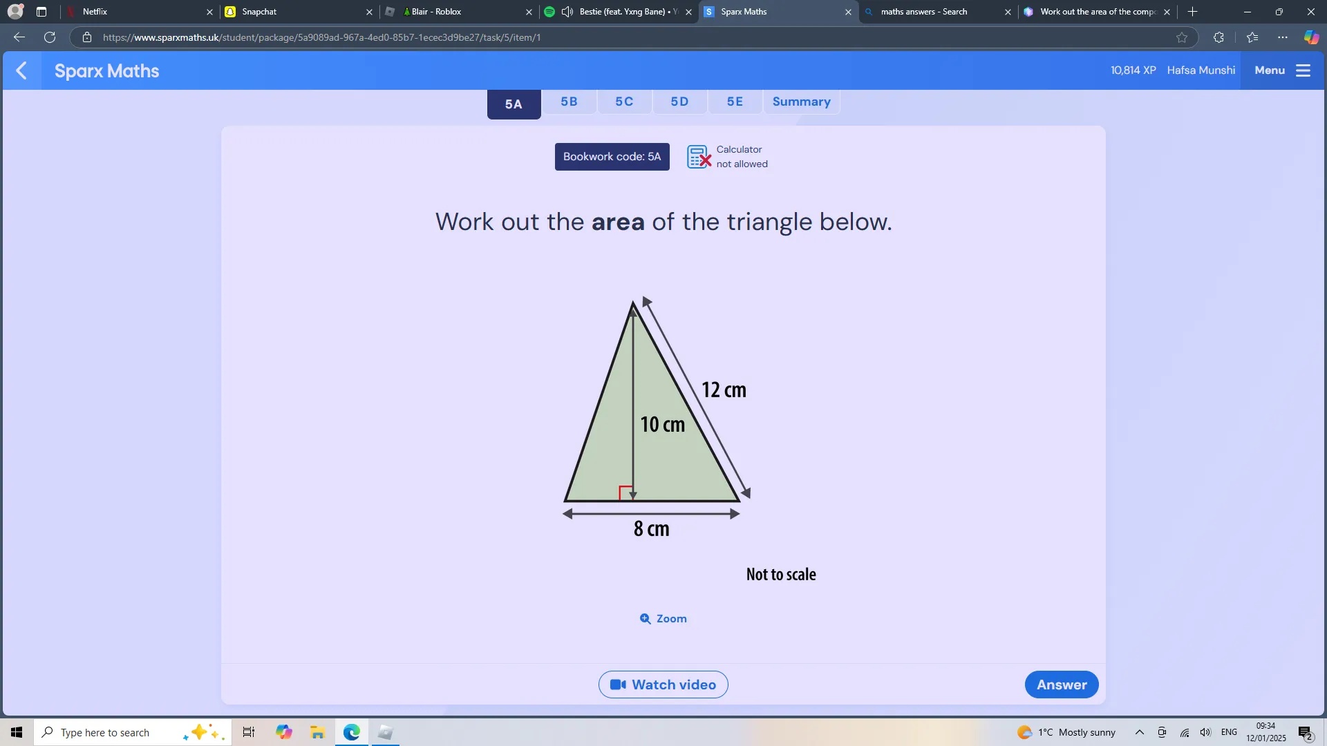 Work out the area of the triangle below | StudyX