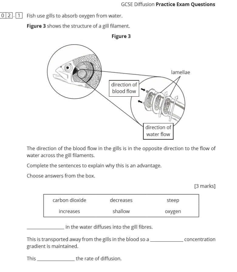 GCSE Diffusion Practice Exam Questions 021