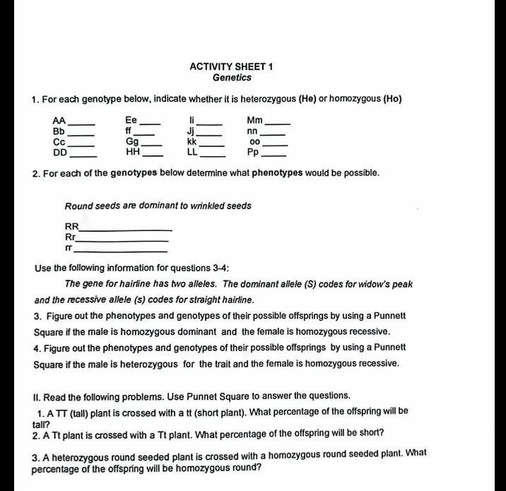 ACTIVITY SHEET 1 Genetics 1 For each | StudyX