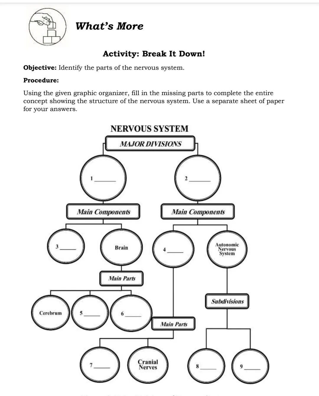 Whats More Activity Break It Down Objective | StudyX