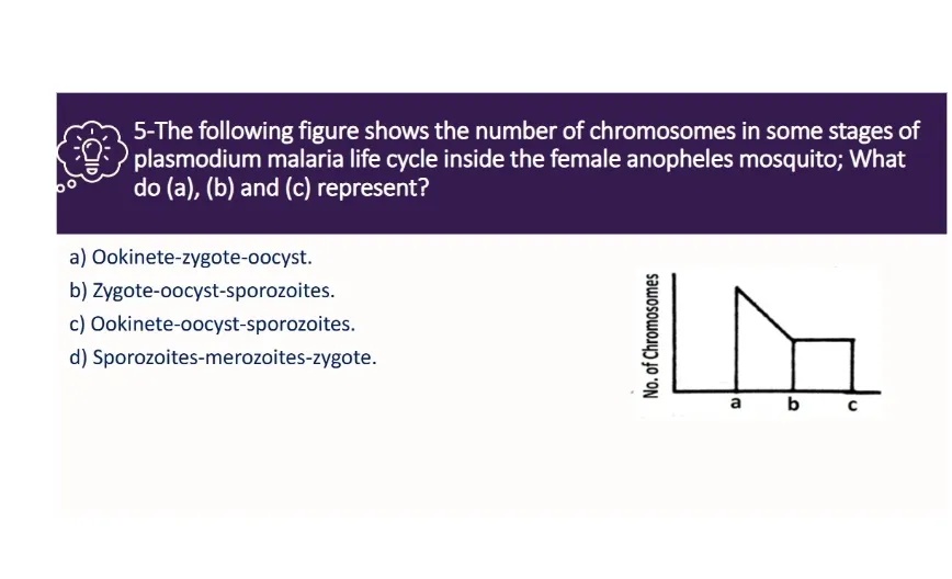5-The following figure shows the number of | StudyX