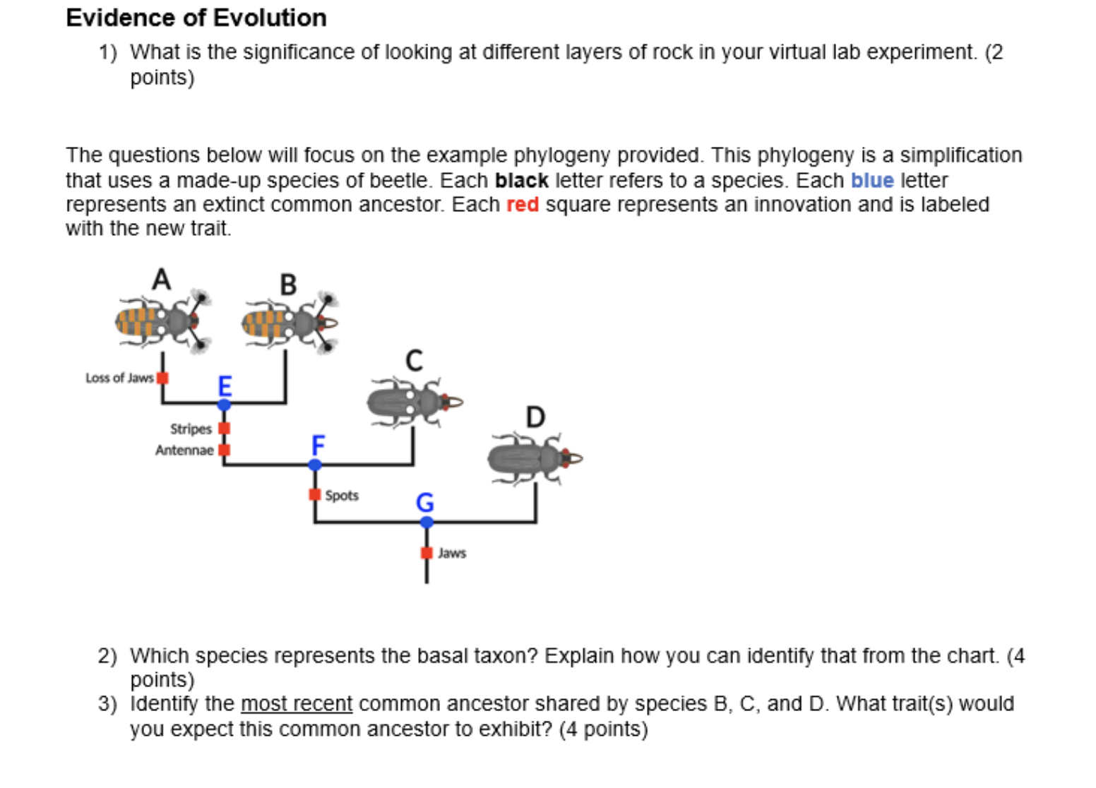 Evidence of Evolution 1) What is the