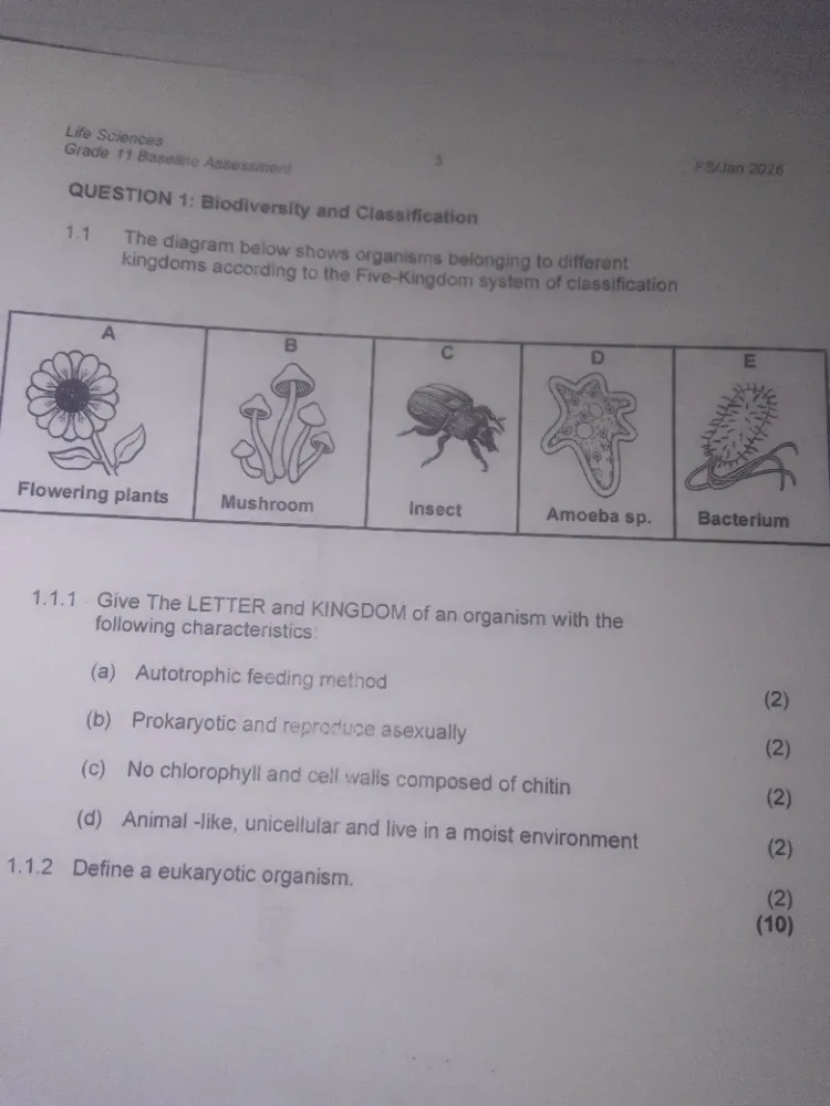 QUESTION 1: Biodiversity and Classification | StudyX