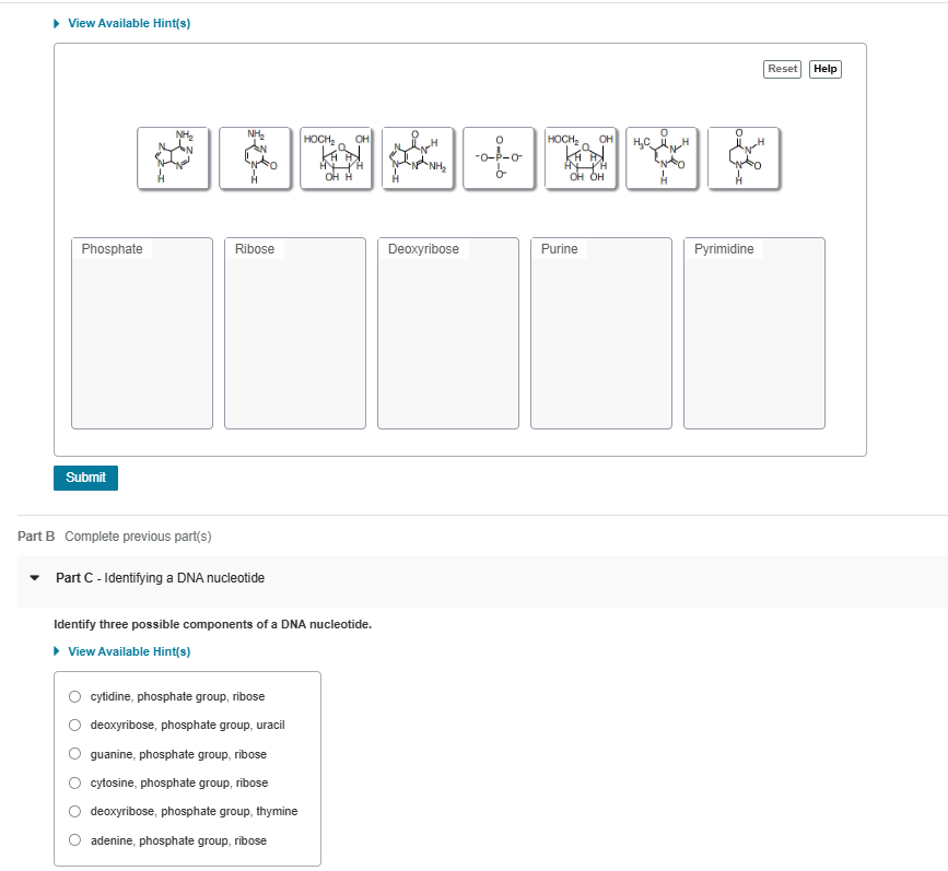 Identify three possible components of a DNA | StudyX