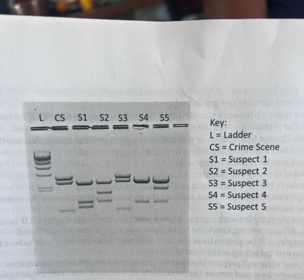 L CS S1 S2 S3 S4 S5 Key: L = Ladder CS