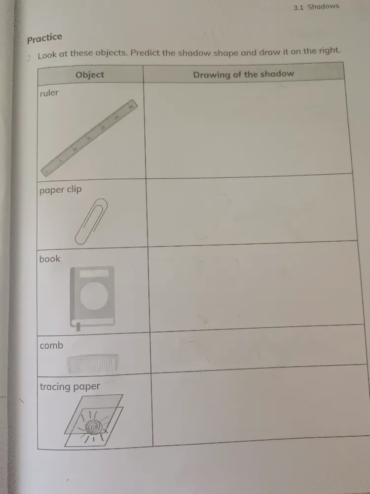 Look at these objects. Predict the shadow