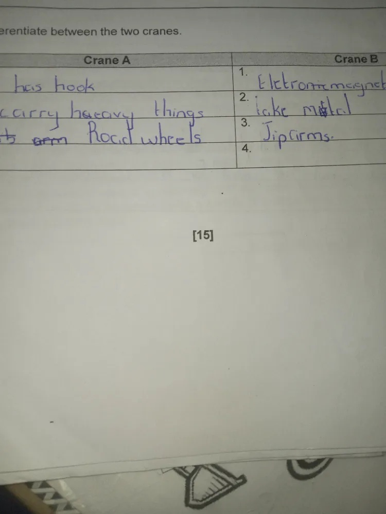 Differentiate between two cranes | StudyX