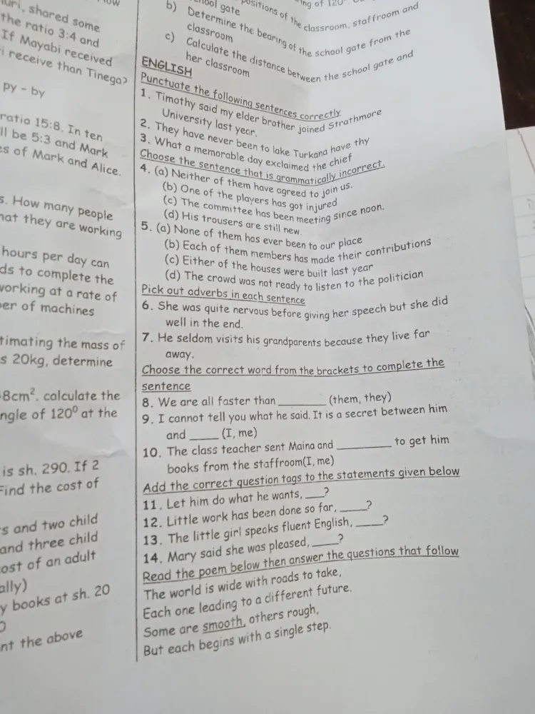 Punctuate the following sentences correctly | StudyX