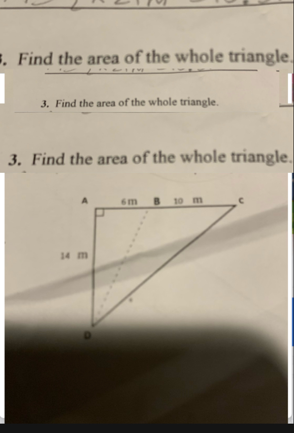 3. Find the area of the whole triangle. ``` | StudyX