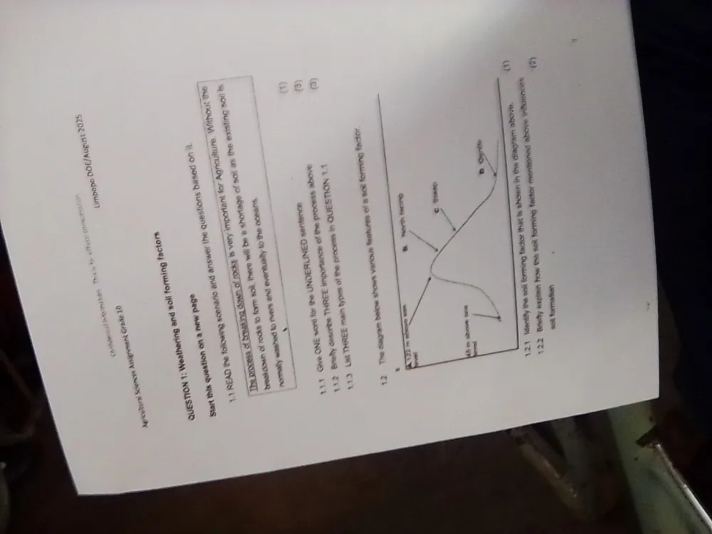 Limpopo DOE/August 2025 Agricultural | StudyX