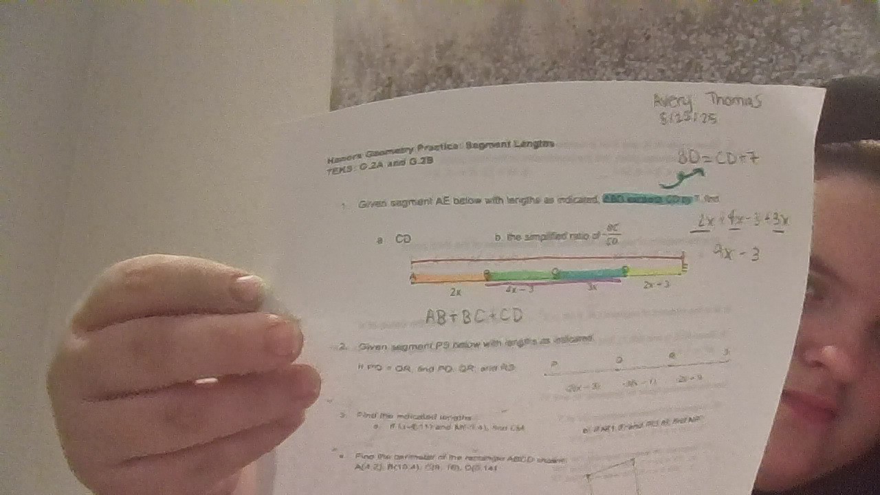 Honors Geometry Practical: Segment Lengths | StudyX
