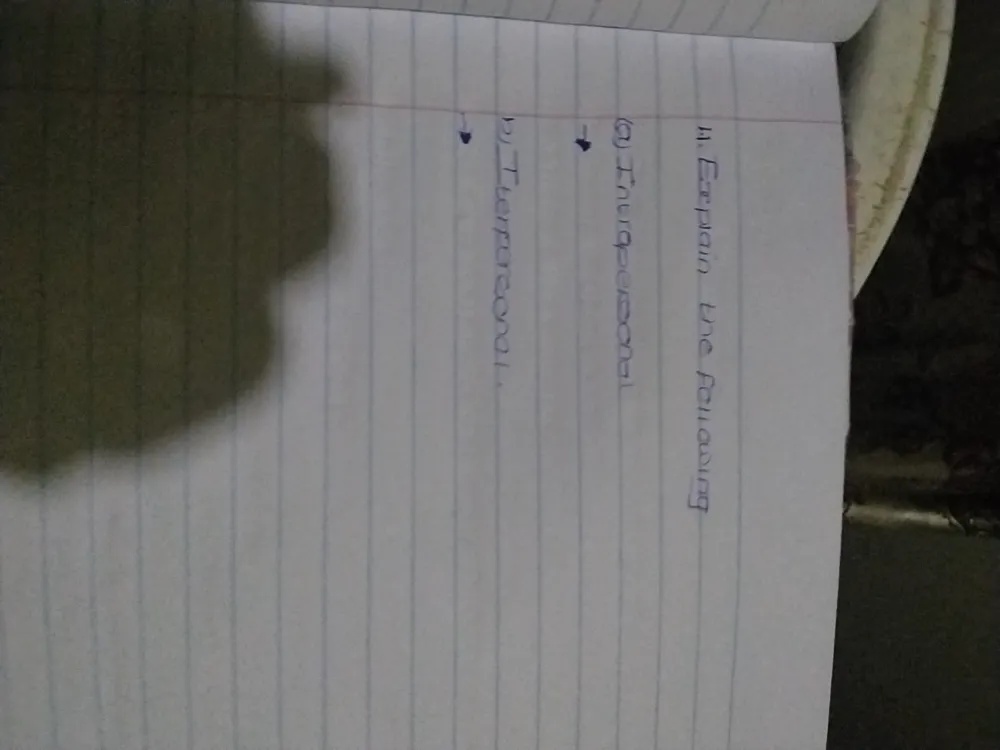 11. Explain the following (a) Intrapersonal | StudyX