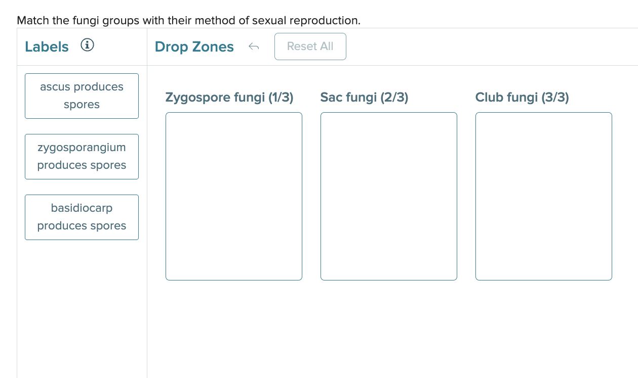 Match the fungi groups with their method of | StudyX