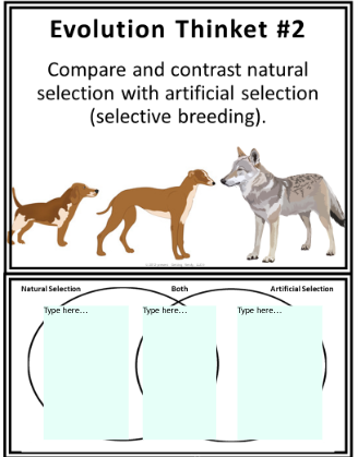 Evolution Thinket #2 Compare and contrast | StudyX
