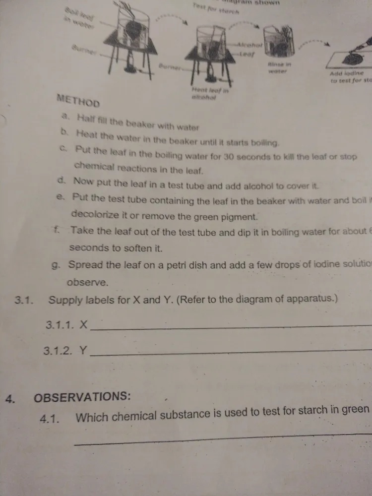 METHOD a. Half fill the beaker with water b. | StudyX