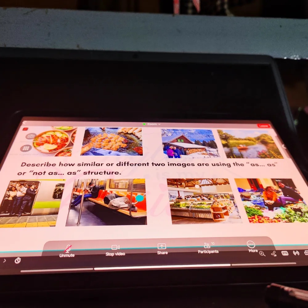 Describe how similar or different two images | StudyX