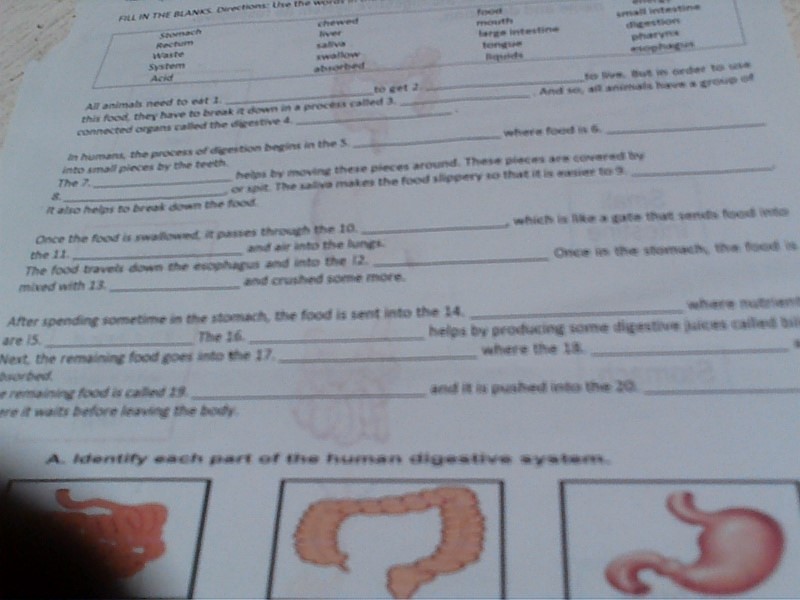 FILL IN THE BLANKS. Directions: Use the | StudyX