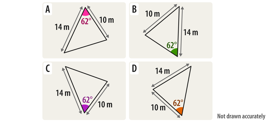 Which triangle is drawn correctly? A. | StudyX