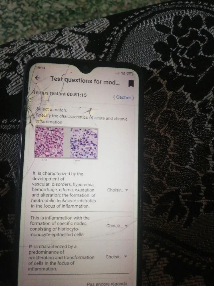 Select a match. Specify the characteristics | StudyX