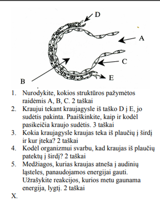 1. Nurodykite, kokios struktūros pažymėtos | StudyX