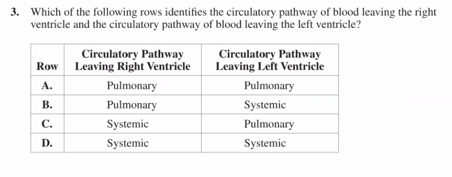 3. Which of the following rows identifies | StudyX