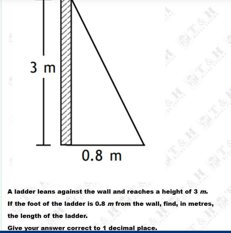 A ladder leans against the wall and reaches | StudyX