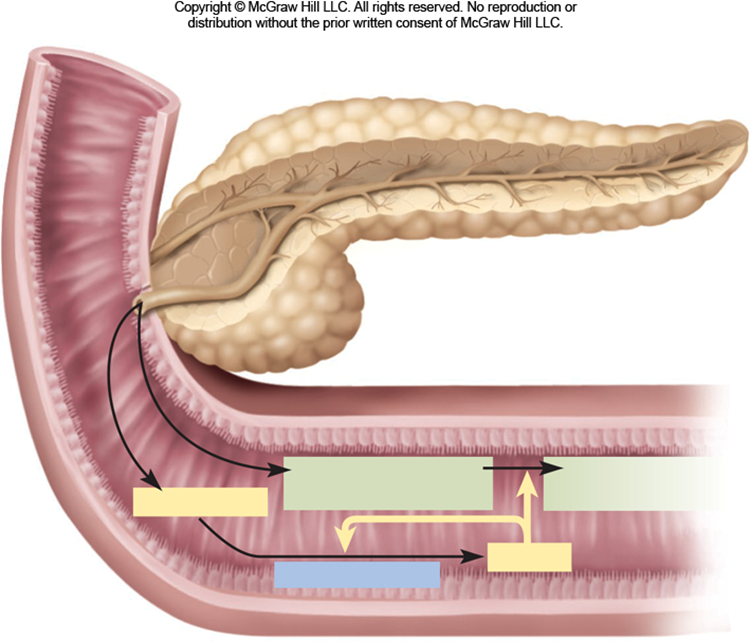 Identify the parts of the pancreas with the | StudyX