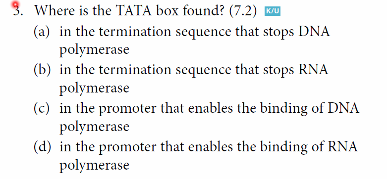 3. Where is the TATA box found? (a) in the | StudyX