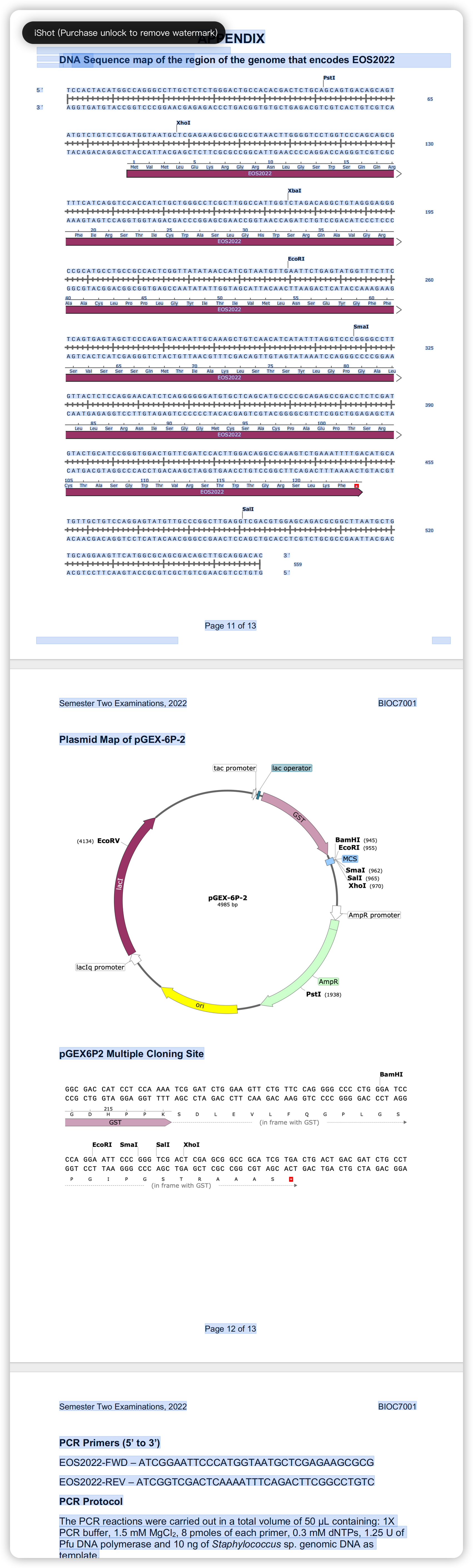 Question 1. Using your knowledge of cloning | StudyX