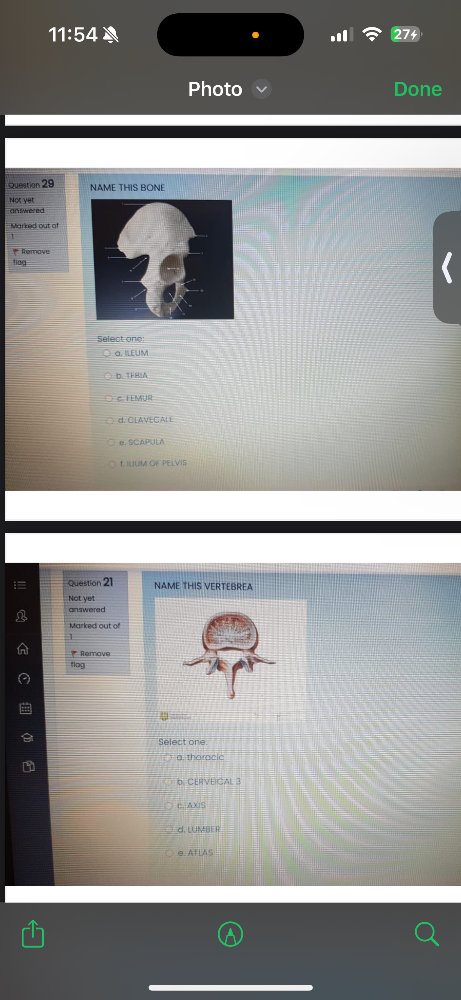 Question 29 NAME THIS BONE Select one: a. | StudyX