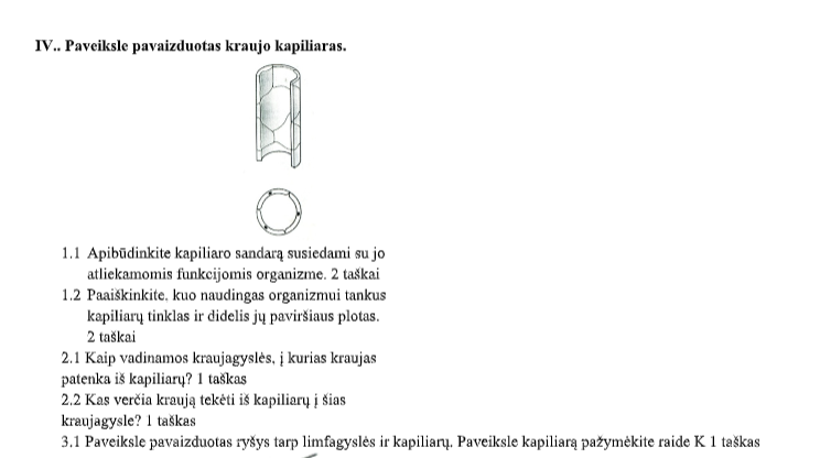 IV.. Paveiksle pavaizduotas kraujo | StudyX