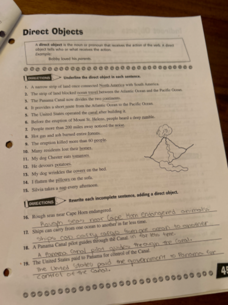 Direct Objects A direct object is the noun | StudyX