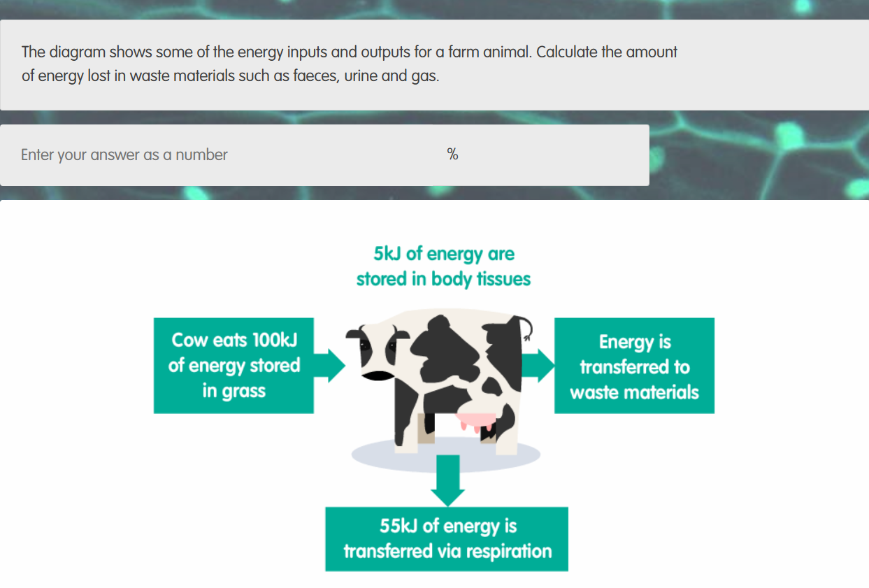 The diagram shows some of the energy inputs | StudyX