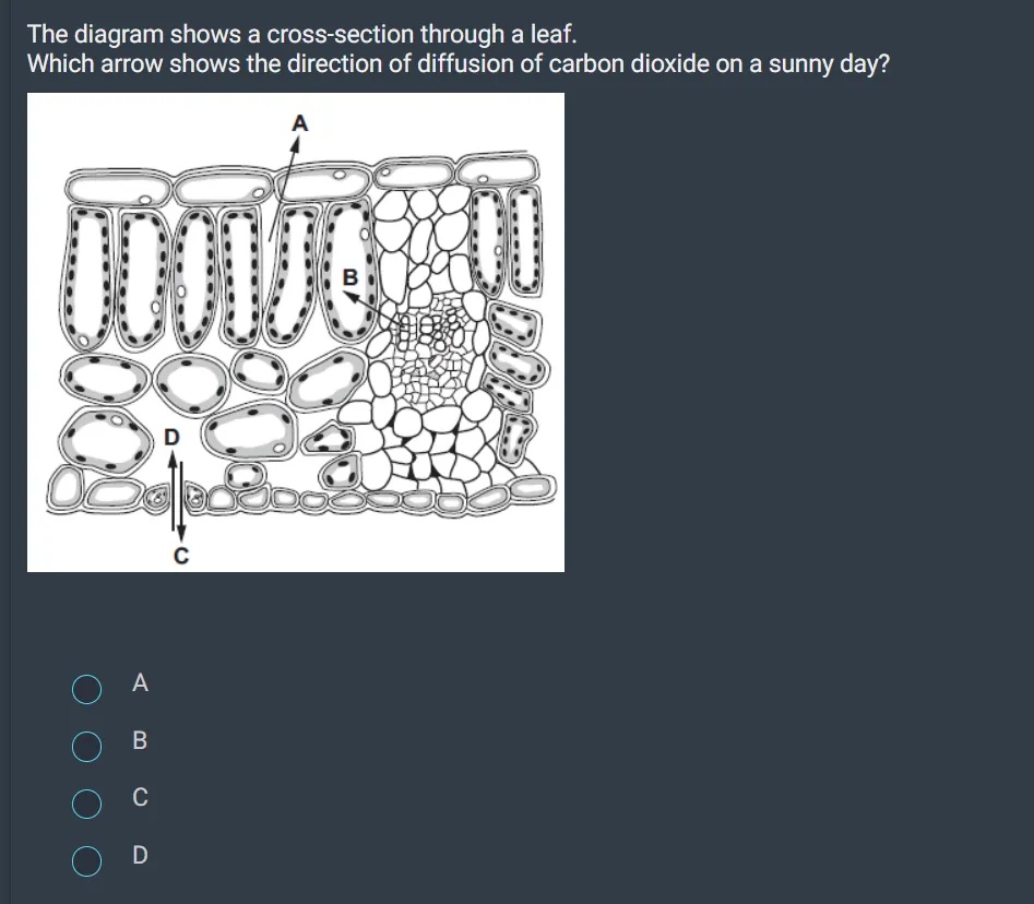 The diagram shows a cross-section through a | StudyX