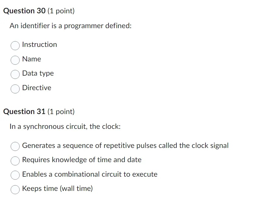 Question 30 (1 point) An identifier is a | StudyX