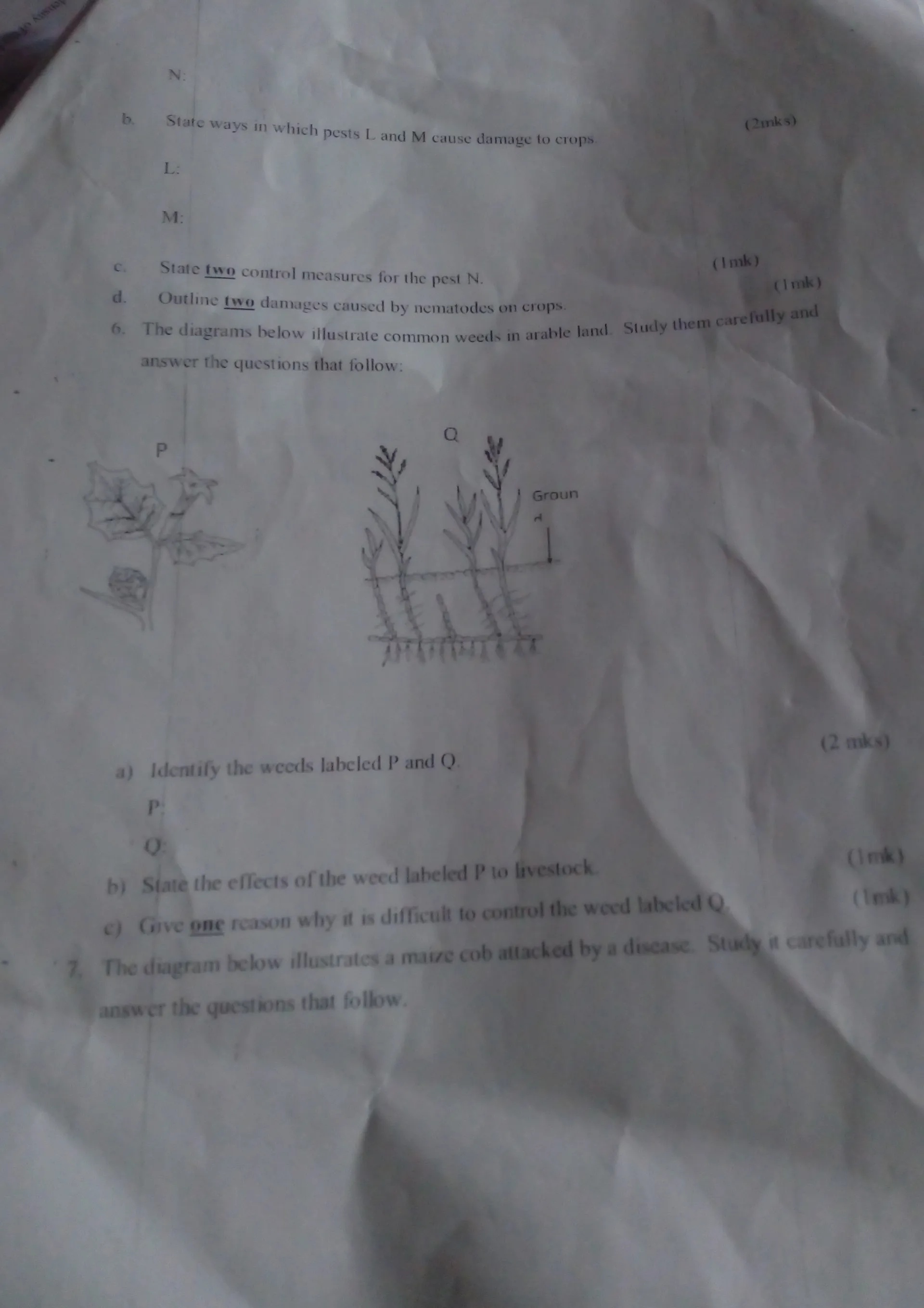6 The diagrams below illustrate common weeds | StudyX