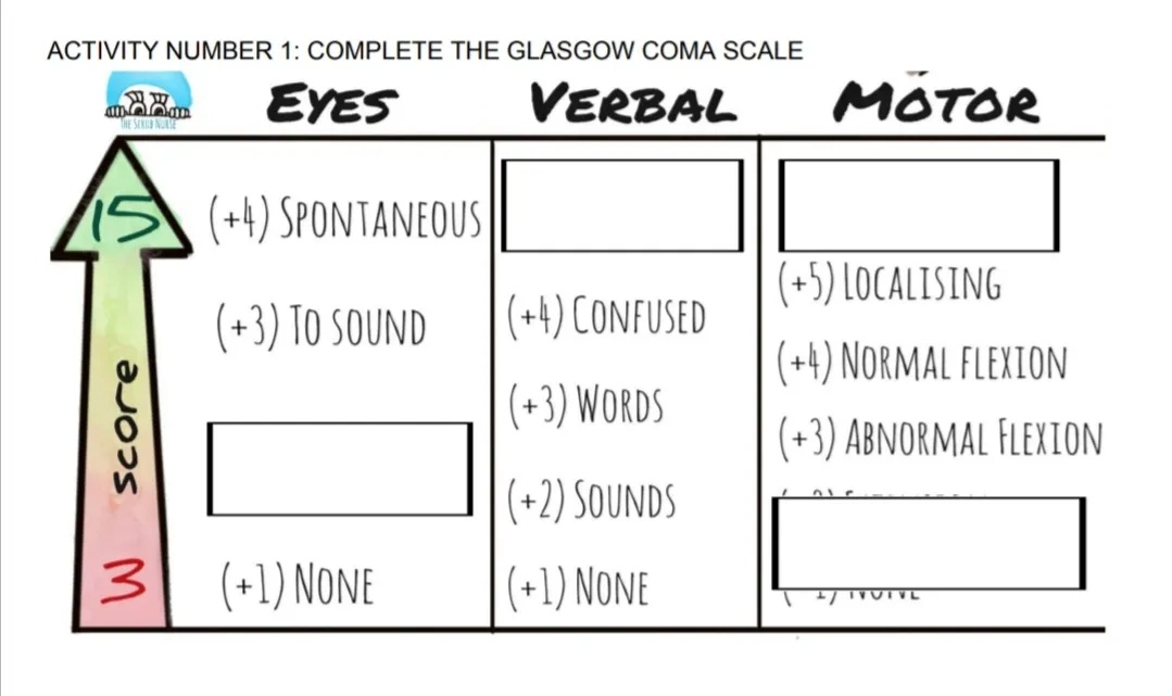 ACTIVITY NUMBER 1 COMPLETE THE GLASGOW COMA | StudyX