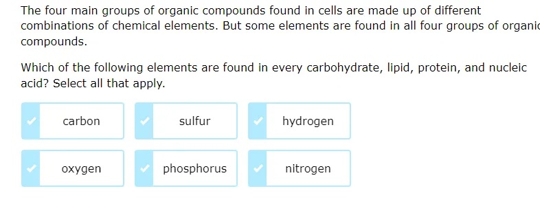 The four main groups of organic compounds | StudyX