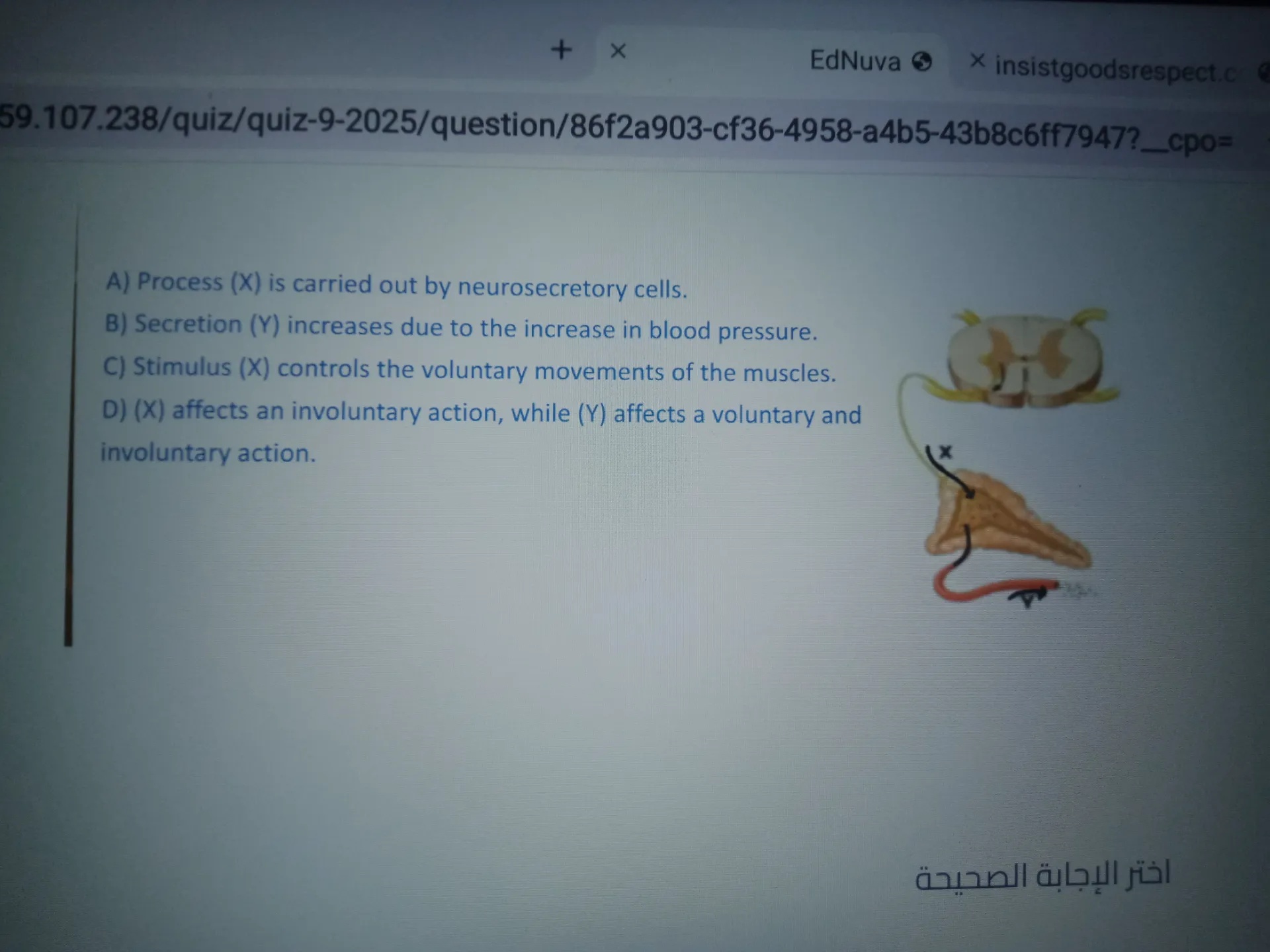 A) Process (X) is carried out by | StudyX