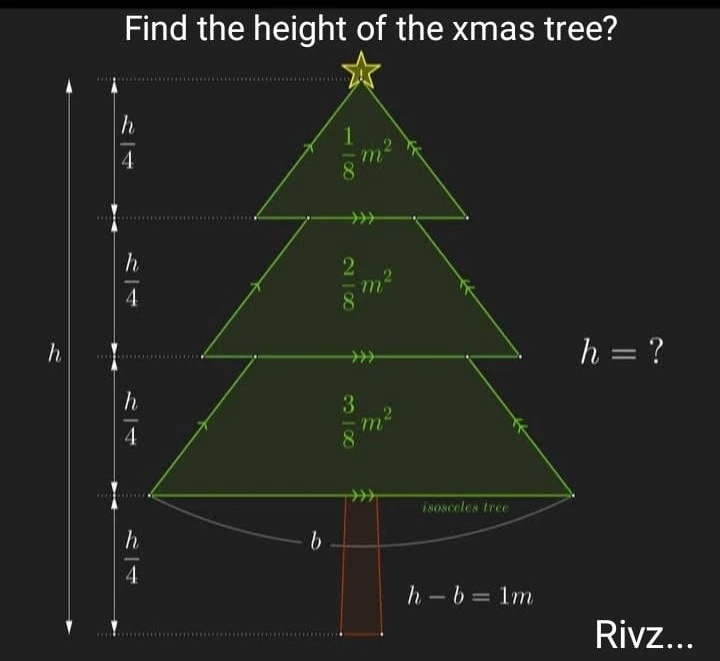 Find the height of the xmas tree The image | StudyX