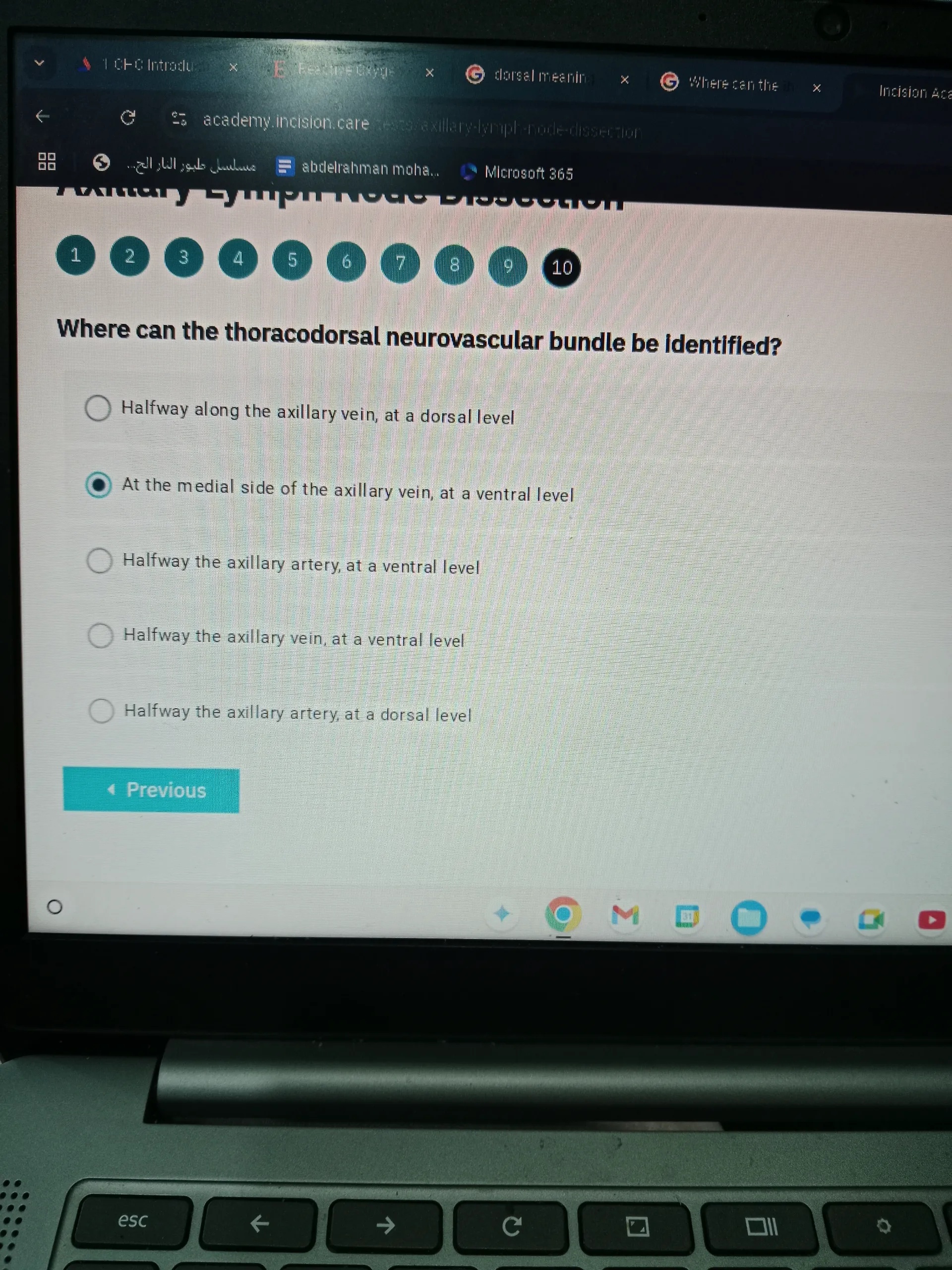 Where can the thoracodorsal neurovascular | StudyX