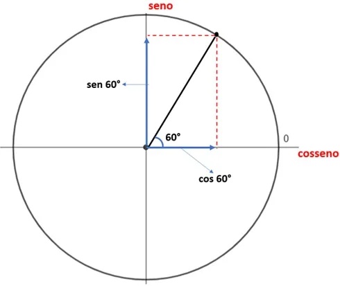 The image shows a unit circle with an angle | StudyX