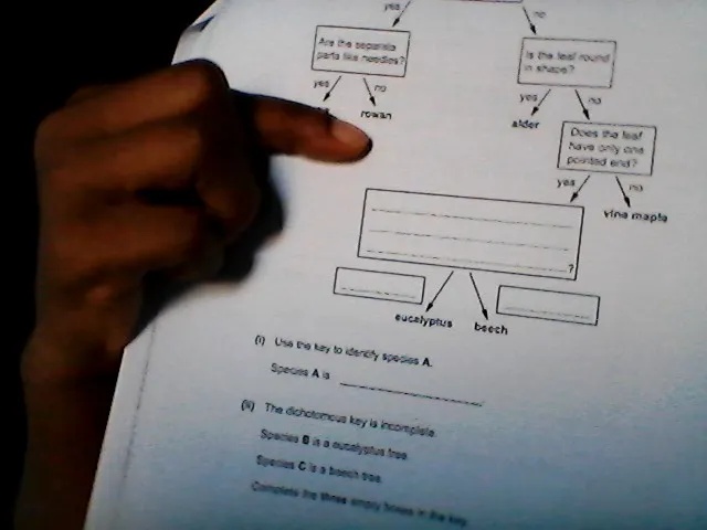 (1) Use the key to identify species A | StudyX
