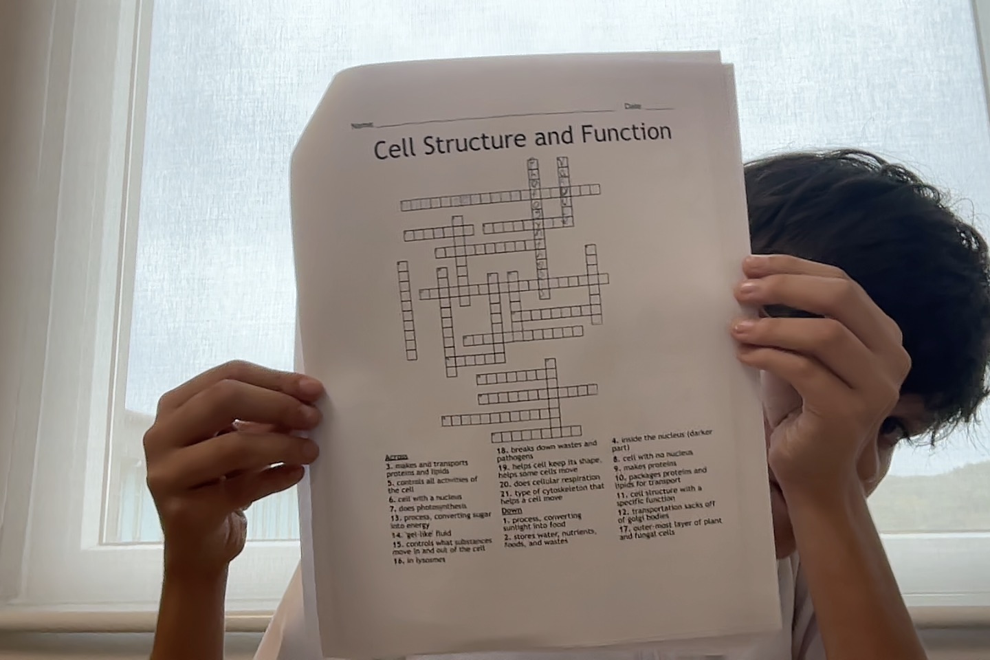 Date Cell Structure and Function Acrous 3 | StudyX