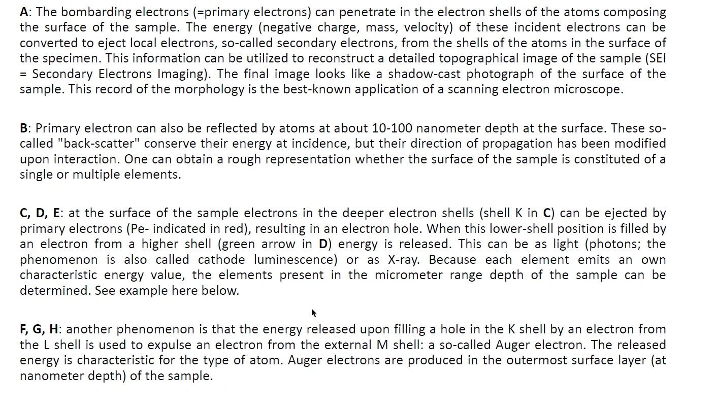 A The bombarding electrons (=primary | StudyX