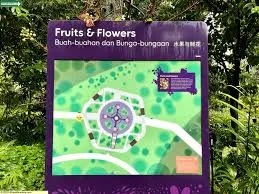 Fruits Flowers Buah-buahan dan Bunga-bungaan