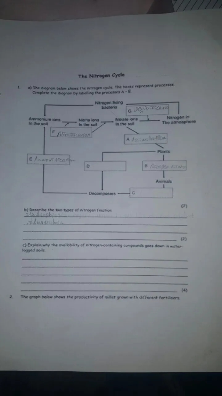 1 The Nitrogen Cycle a) The diagram below | StudyX
