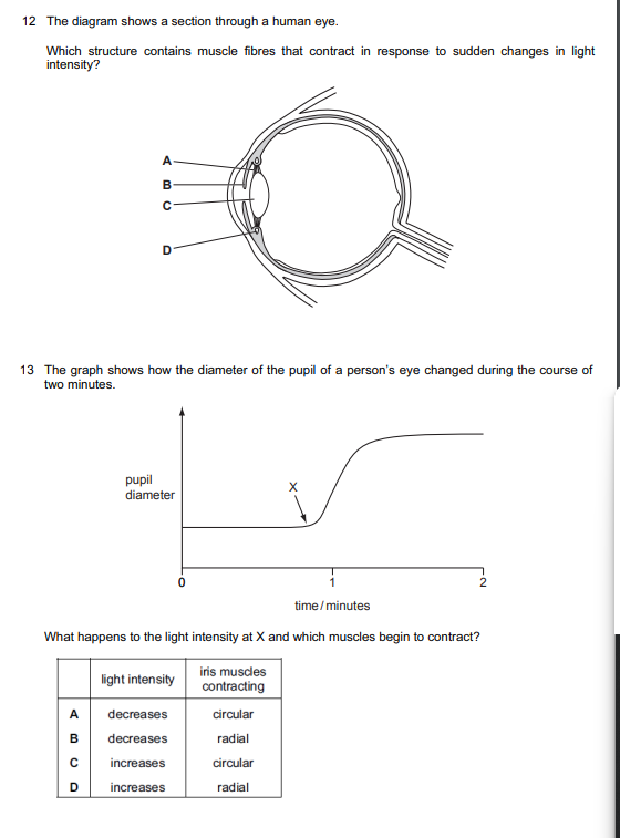12 The diagram shows a section through a | StudyX
