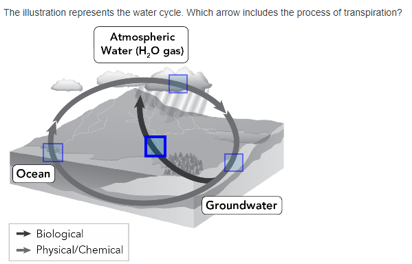 The illustration represents the water cycle | StudyX